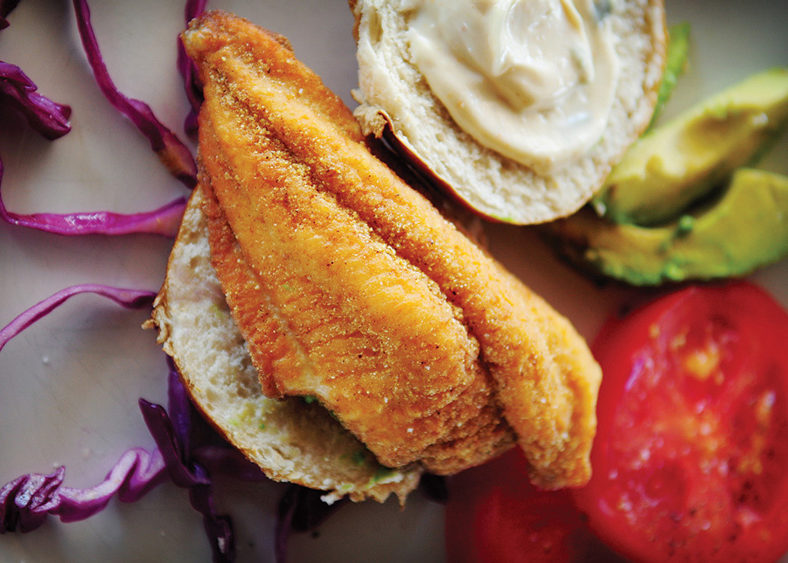 Catfish Fillets - Wood Fruitticher Foodservice